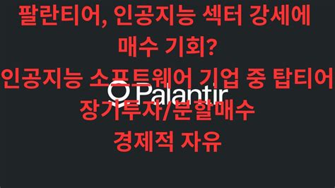 팔란티어 인공지능 섹터 강세에 매수 기회인가ㅣ인공지능 소프트웨어 기업중 탑티어ㅣ경제적 자유ㅣ장기 투자ㅣ Youtube