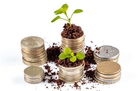 시간에 돈을 성장 동전에 식물 금융 및 투자 스튜디오 흰색 배경에 촬영 0명에 대한 스톡 사진 및 기타 이미지 0명 개념 경제 Istock