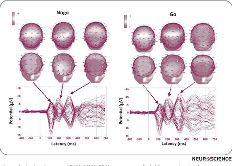 figure 1 from p300 component modulation during a go nogo task in