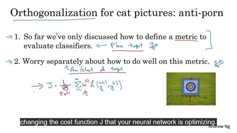 What Do With False Negative Structuring Machine Learning Projects