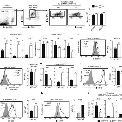 Upregulation Of Ccl2 Ccl8 And Ccl12 Chemokines Specifically In Ltα