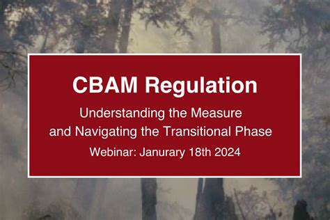 Cbam Regulation Understanding The Measure And Navigating The Transitional Phase