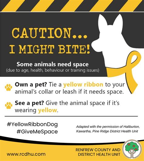 Rabies Campaign 6 1 Renfrew County And District Health Unit