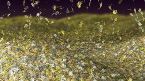 Vincent Kieuvongngam On Linkedin Sciences 2021 Breakthrough Of The Year Ai Brings Protein