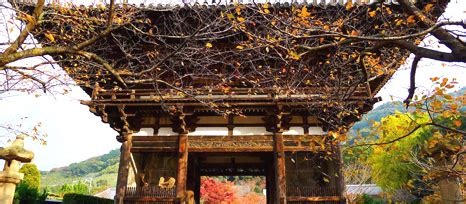 長保寺 ちょうほうじ 海南市 の紅葉 和歌山Doナビ