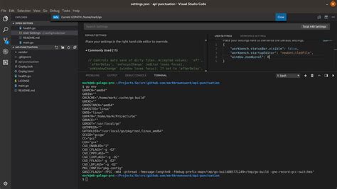 Gopath From Zshenv Not Detected Correctly · Issue 1133 · Microsoftvscode Go · Github