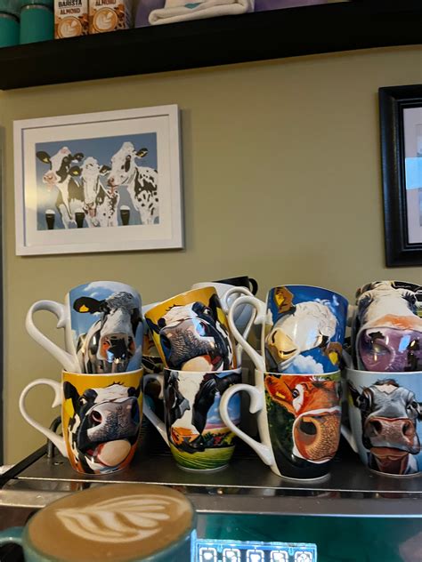 Americano Silly Sids