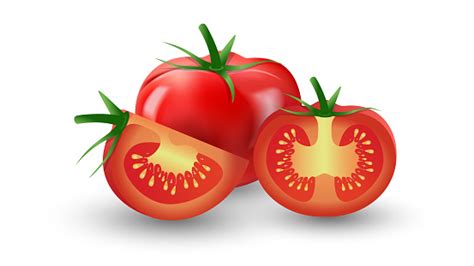 잘 익은 육즙이 많은 천연 토마토 식욕을 돋우는 다진 토마토 절반 현실적인 벡터 그림 프로모션 제품의 경우 격리 3d 0명에 대한 스톡 벡터 아트 및 기타 이미지 Istock