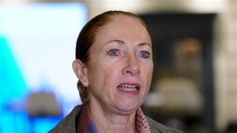 კელი დეგნანი ბევრი ქართველი არ არის დაინტერესებული რუსეთთან დაახლოებით