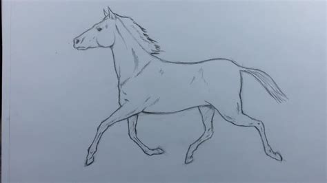 كيف أرسم حصان بطريقة بسيطة Youtube