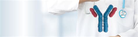 Tcr Mimic Antibody 阿帕克生物 助力纳米抗体研发