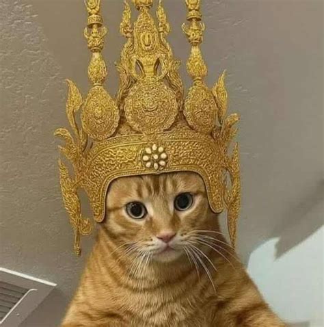 Khit Thit Media မြင်းခြံမြို့နယ်၊ စံပြကျေးရွာရှိ ပျူစောထီးခေါင်းဆောင်၏ သက်တော်စောင့် ဒုတပ်ကြပ