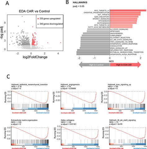 Transcriptomic Analysis Of Tumor Tissues Isolated From Untreated Mice Download Scientific
