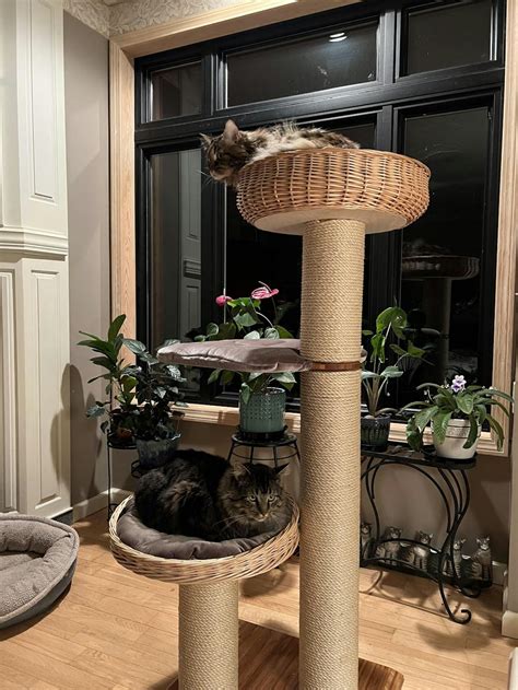 Maxi Cat Tower Luxury Cat Tower Tt Luxury Cat Towers