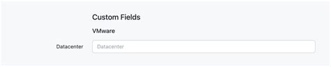 Incorrect Rendering Of Custom Fields In Vminterface Edit View Issue Netbox Community
