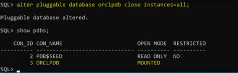 Drop Pluggable Database Sqlplus Command Line Or Dbca Dba Notes