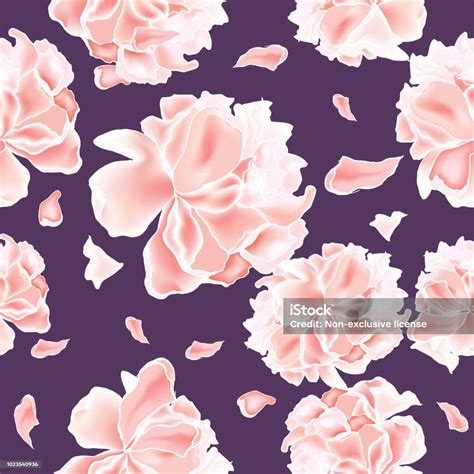 섬세 한 핑크 장미 꽃송이 또는 꽃 체리 어두운 파란색 배경에 봄의 상징의 완벽 한 배경 무늬입니다 벡터입니다 포장지 직물에 인쇄 결혼식에 대한 스톡 벡터 아트 및 기타