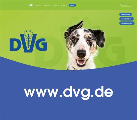 Dvgde Der Neue Internetauftritt Der Dvg Dvgde