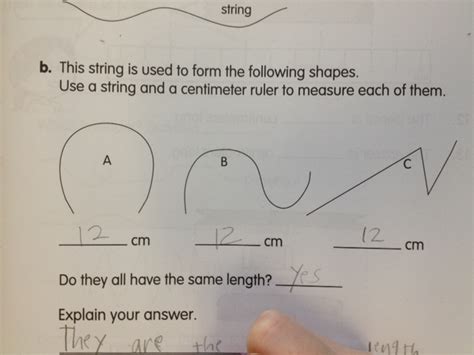 Team McNitt Measuring On A Curve