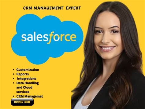 salesforce setup customization reports customization and integration