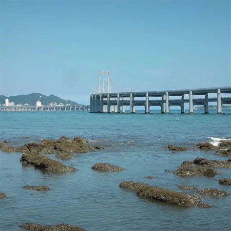 节气 今日白露 龙眼