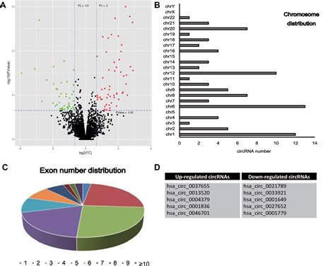 Genome Wide Microarray Analysis Of Circrnas Revealed Novel Biomarkers Ott