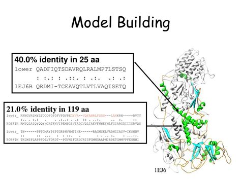 PPT Building Partial Atomic Model Of CPV From CryoEM Maps PowerPoint Presentation ID