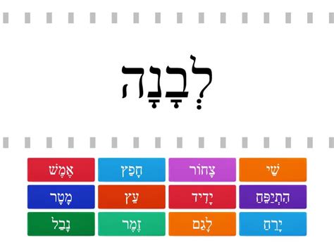 התאמת מילים נרדפות Find The Match