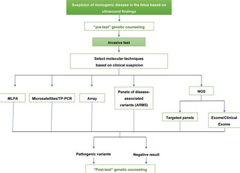 Diagnostic Algorithm On Suspicion Of A Monogenic Disease In The Fetus Download Scientific