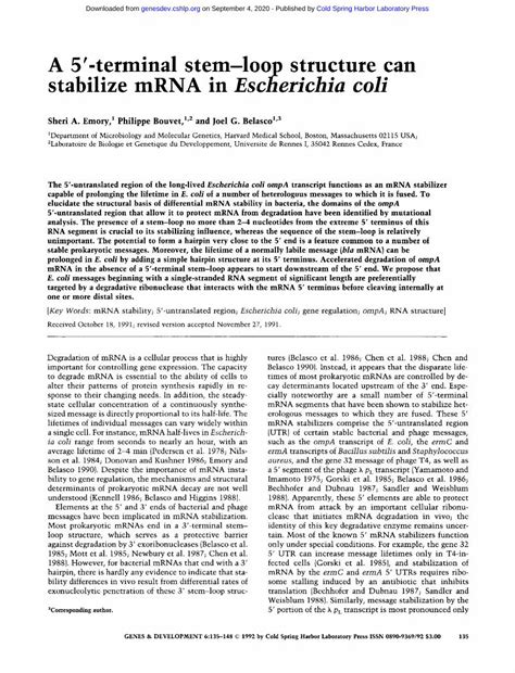 Pdf A 5 Terminal Stem Loop Structure Can Stabilize Mrna In