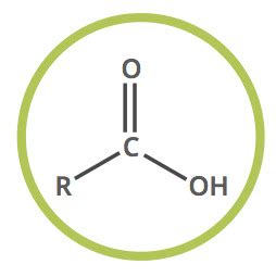 Functional Group Priorities Prefixes Suffixes Flashcards Quizlet