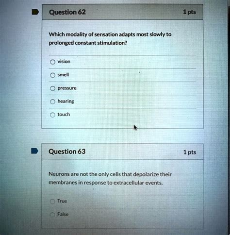 Solved Question 62 1pt Which Modality Of Sensation Adapts Most Slowly