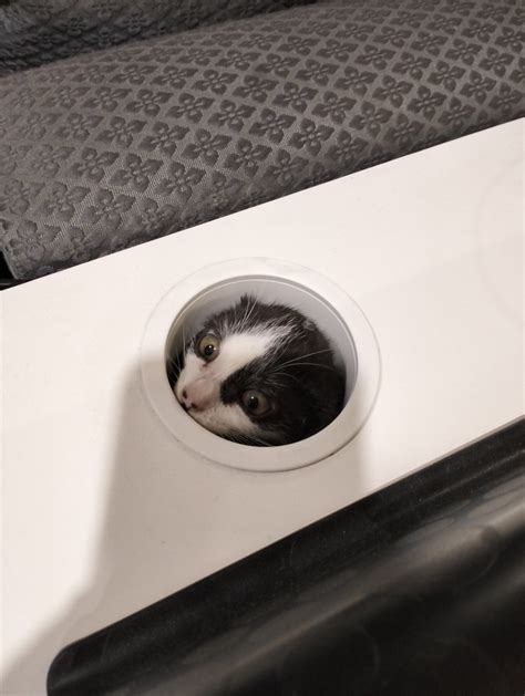 Unimolzno1 On Tumblr