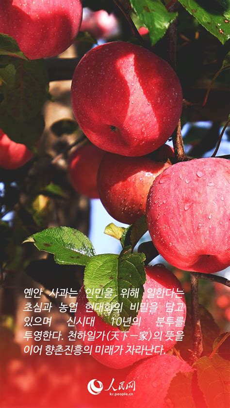 톈안먼 반기 계양으로 장쩌민 동지 서거 추모 4