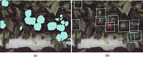 Pdf Deepfruits A Fruit Detection System Using Deep Neural Networks