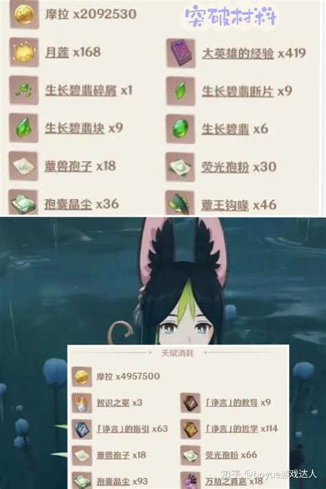 原神提纳里培养全攻略月莲采集路线要堆多少元素精通才能毕业 知乎