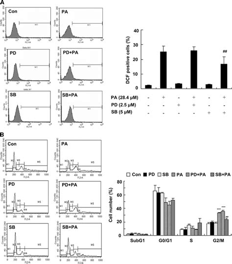effects of erk and p38 inhibitors on pa induced ros generation and g2 m
