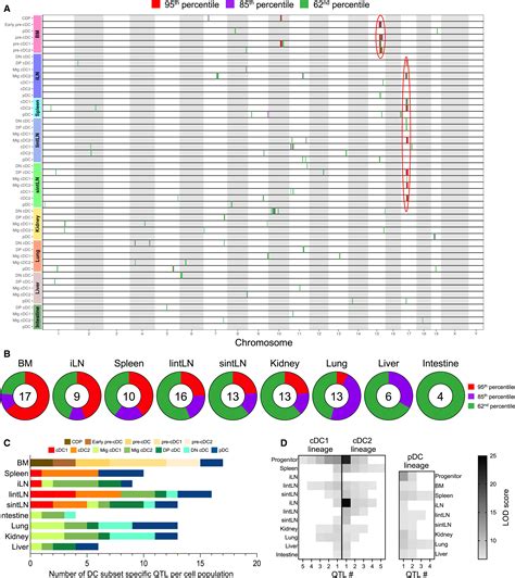 Quantitative Trait Loci Mapping Provides Insights Into The Genetic