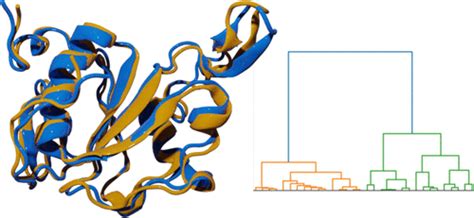 Protein Retrieval Via Integrative Molecular Ensembles Prime Through
