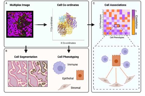 Figure 2 From Redefining Clinical Practice Through Spatial Profiling A Revolution In Tissue