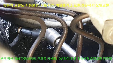 쌍용차 코란도 시동불량시동지연예열플러그 교환가열플러그 교체돼지꼬리예열고장경고등가열표시등전기장치 정밀점검정비 Youtube