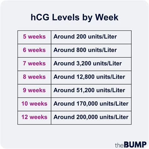 What Are Normal Hcg Levels By Week During Pregnancy