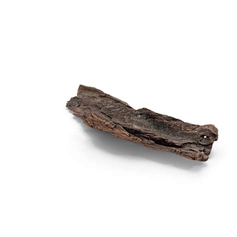Broken Tree Bark Piece PNG Images PSDs For Download PixelSquid S F