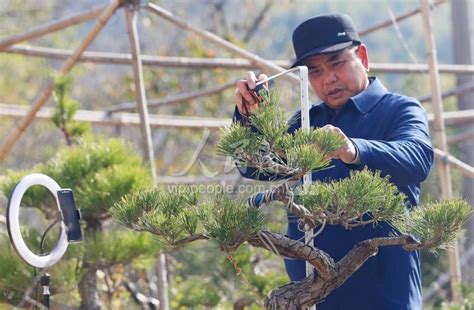 安徽铜陵：“一村一品”拓宽村民致富路 人民图片网