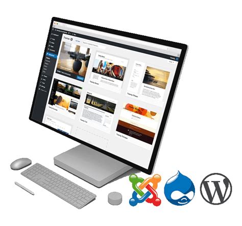 Website Development Services Mobigu