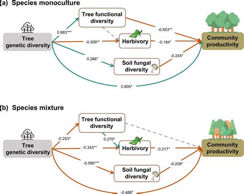 Tree Species And Genetic Diversity Increase Productivity Via Functional Diversity And Trophic