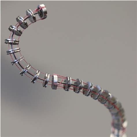 Tendon Driven Continuum Robots Continuum Robotics Labratory