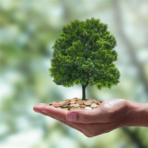 What Is Carbon Offsetting Business Energy Comparison