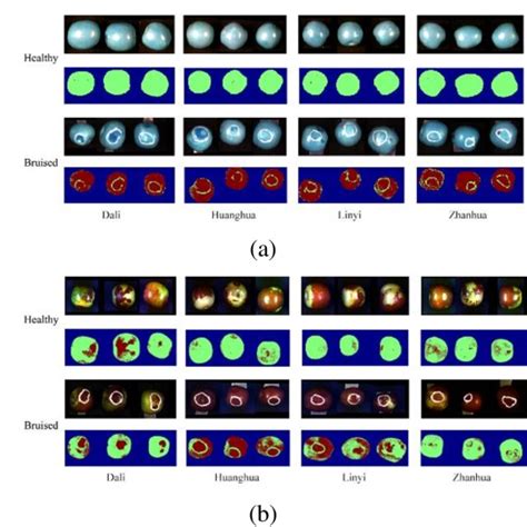 Prediction Maps Based On Cnn Model Based On All Geographical Origins Download Scientific