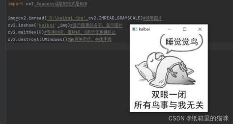 Opencv学习笔记——图像基本操作c Opencv查看图片是bgr还是rgb Csdn博客